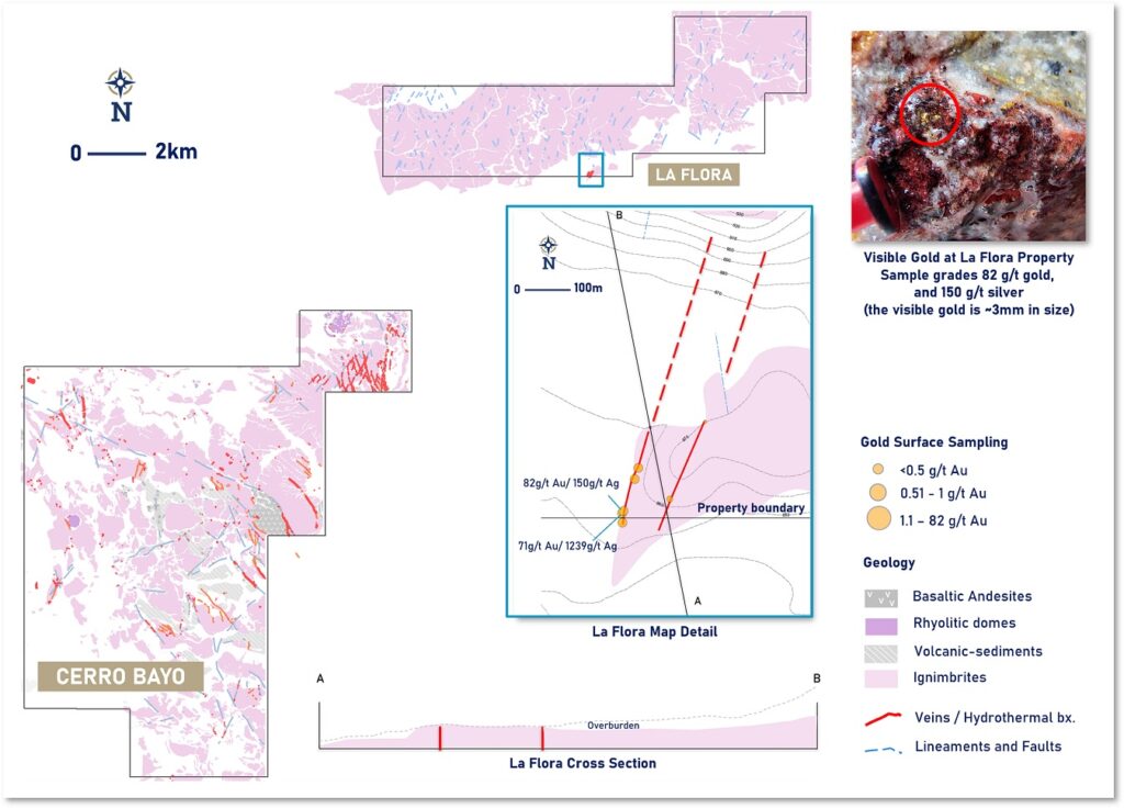 Latin Metals descubre oro visible en el proyecto La Flora – Editorial RN